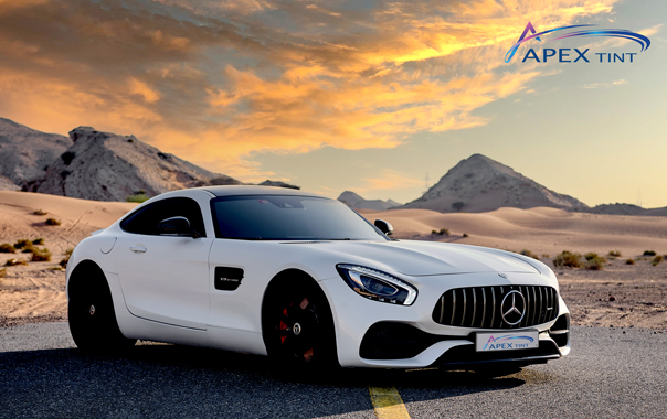 프리미엄 vs 가성비 썬팅 : 네이버 블로그