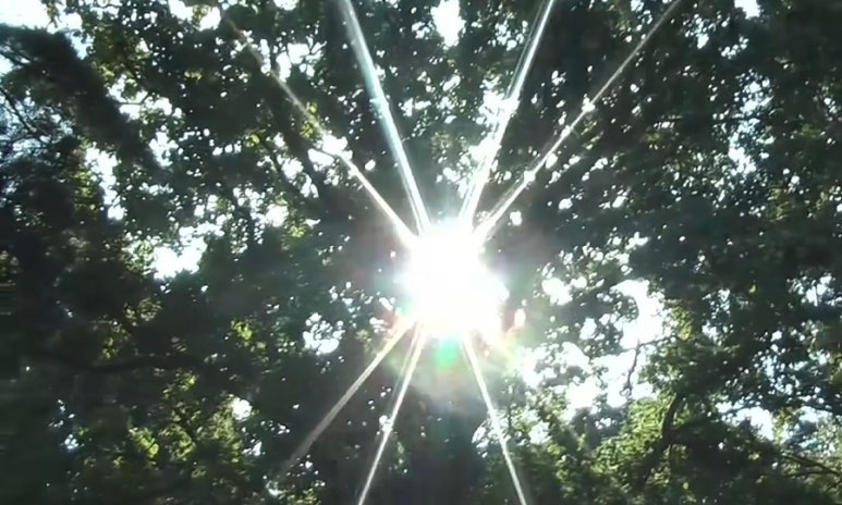 1월 : 네이버 블로그