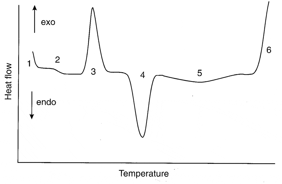 DSC 이야기 : 네이버 블로그