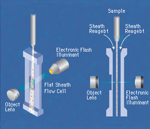 유세포분석기(flowcytometry) 원리와 응용 : 네이버 블로그