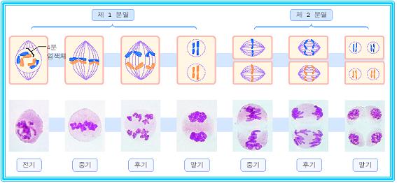 생명과학1 네이버 블로그
