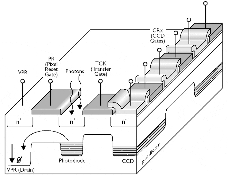 CCD의 이해 (구조와 원리, 스미어, 블루밍 현상) : 네이버 블로그