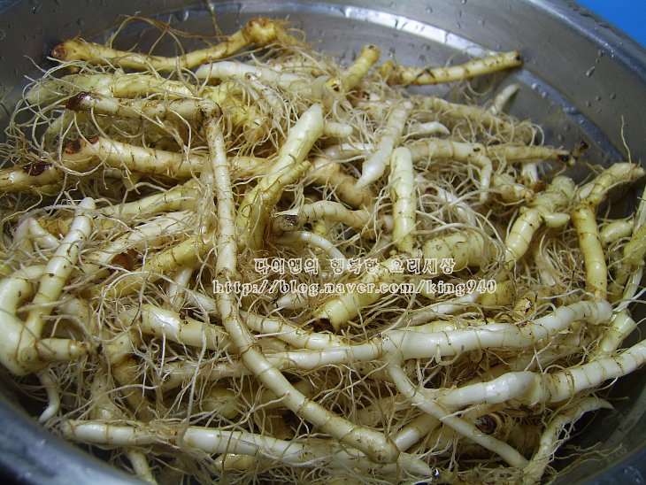 둥굴레차 만드는법 둥글레차 효능 네이버 블로그