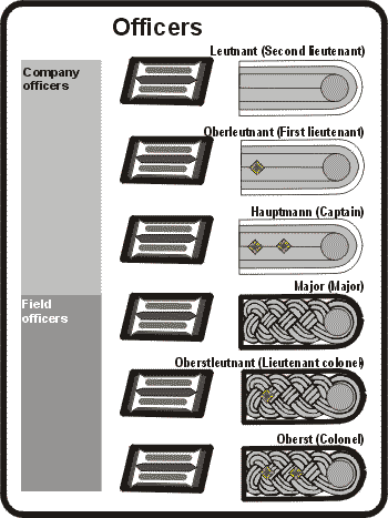 Waffen SS rank insignia Collar Tab(SS 계급 계급장 분류) : 네이버 블로그