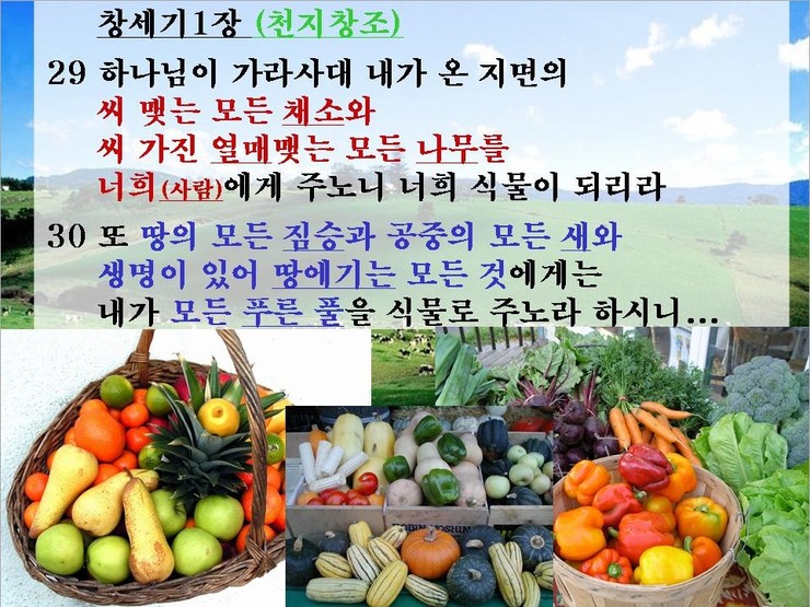 김명현교수님의 성경과학교안 02노아의 방주33 대홍수 이전의 지구환경 추론 궁창 위의 물 네이버 블로그